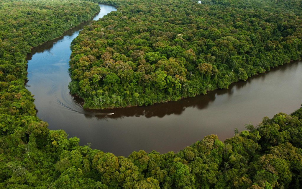 Floresta Amazônica | Viajar Verde